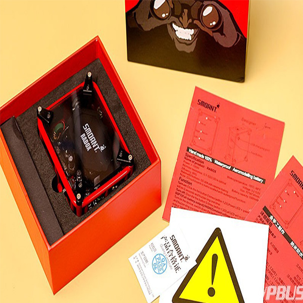 Smoant RABOX Mini Mod Review